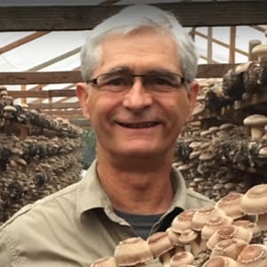 PODCAST - #55 Medicinal Mushroom Superpowers - with Jeff Chilton